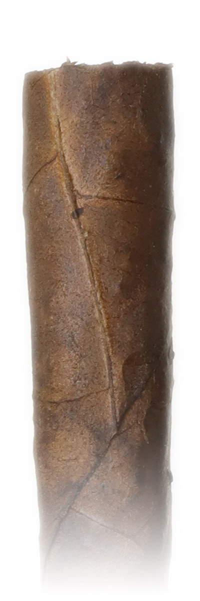 Toscanello Hazelnut Raffinato - Toscano | Smokingpipes.com